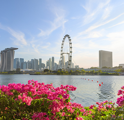 【玩樂東澳】庫倫賓抱抱無尾熊、鷹高小鎮、藍光螢火蟲、神仙灣、黃金海岸大嘴鳥餵食秀七日-品冠旅遊