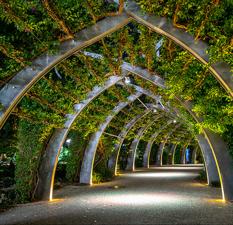 【玩樂東澳】庫倫賓抱抱無尾熊、鷹高小鎮、藍光螢火蟲、神仙灣、黃金海岸大嘴鳥餵食秀七日-品冠旅遊